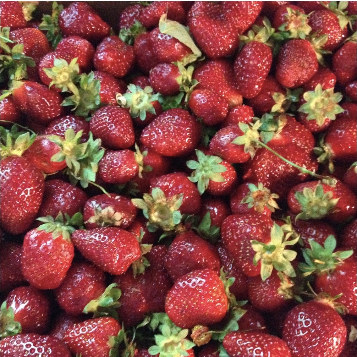 Springtime Menus – The Empty Nest Chronicles