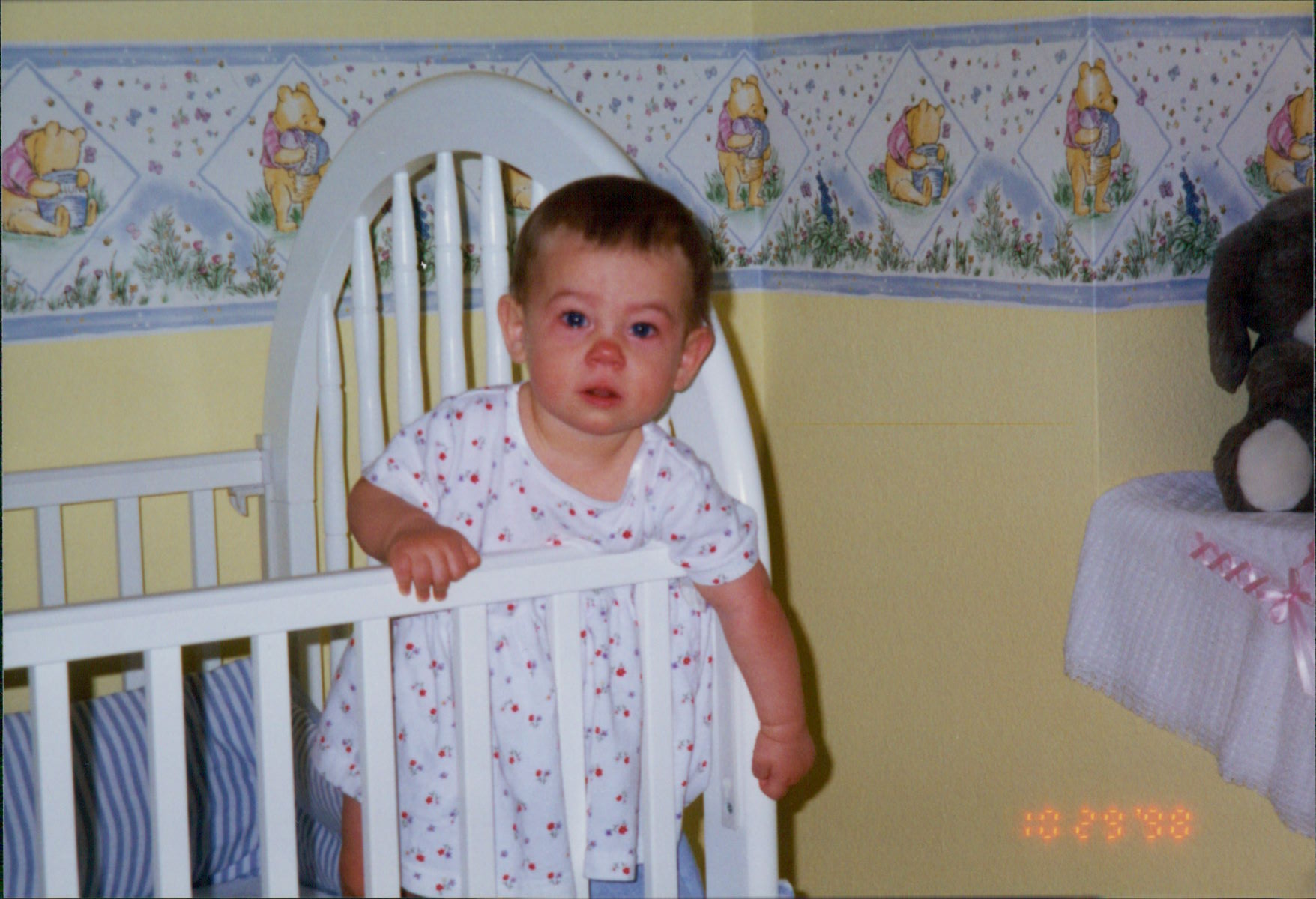 Deconstructing Reassembling The Empty Nest Chronicles